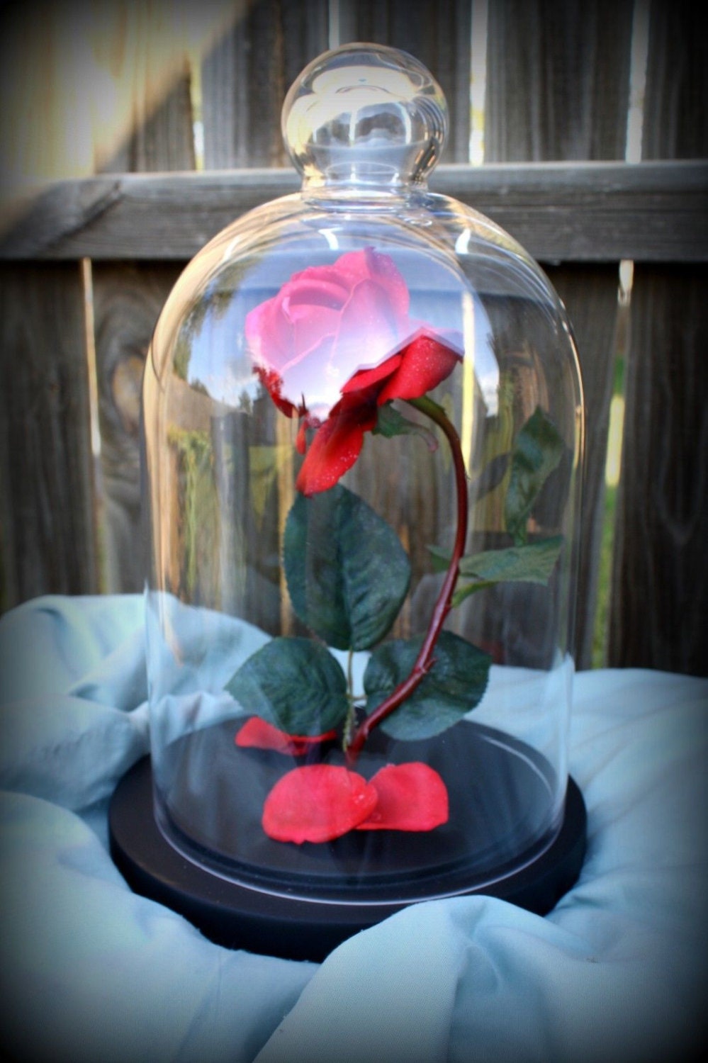 Enchanted Rose Dome Life Size Prop Replica - Etsy