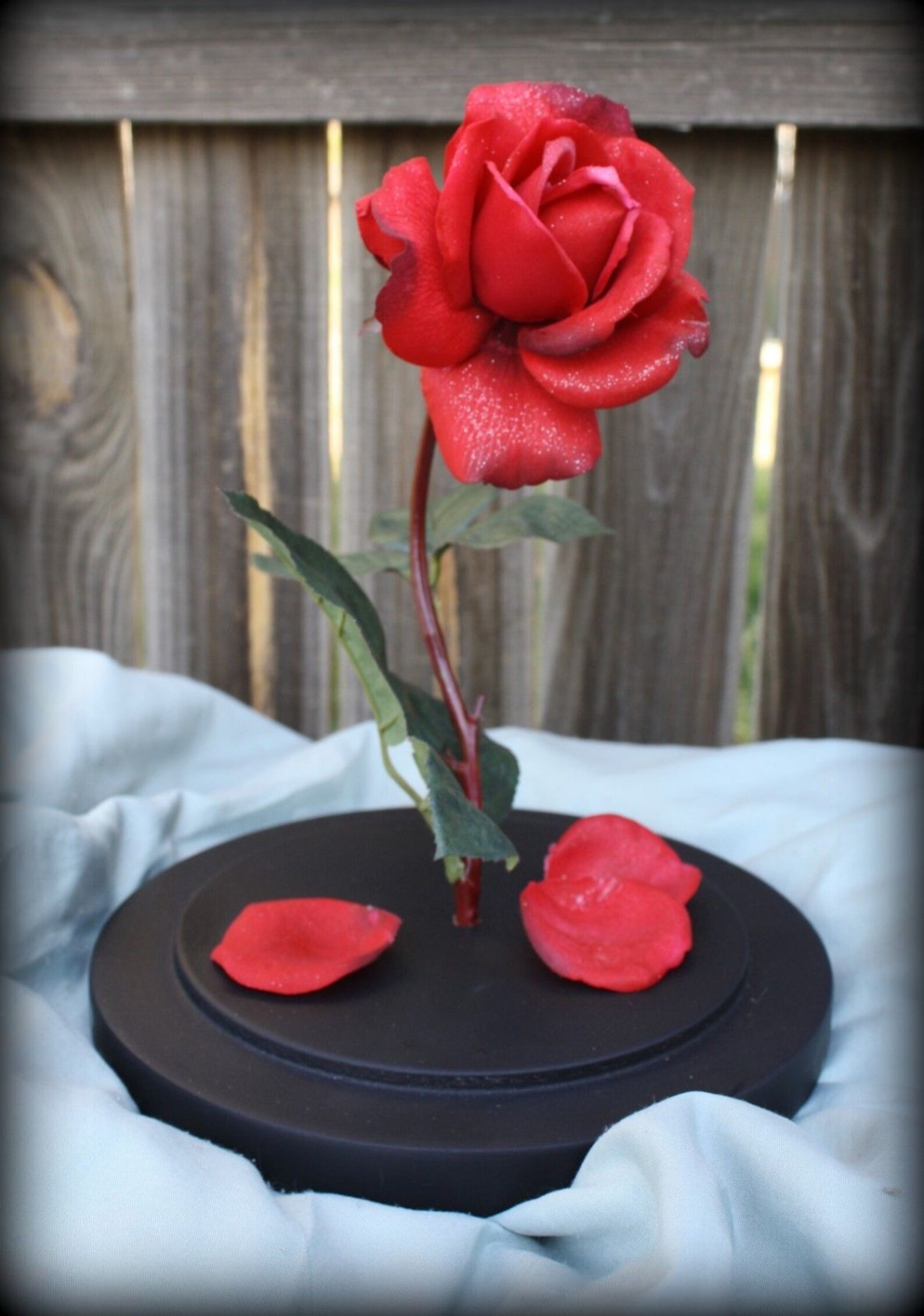 Enchanted Rose Dome Life Size Prop Replica - Etsy