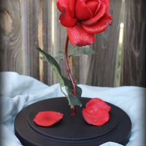 Enchanted Rose Dome Life Size Prop Replica - Etsy