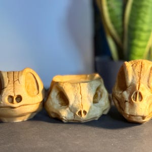 Starter Pokemon Skull Tower - Bulbasaur, Squirtle, Charmander - Etsy