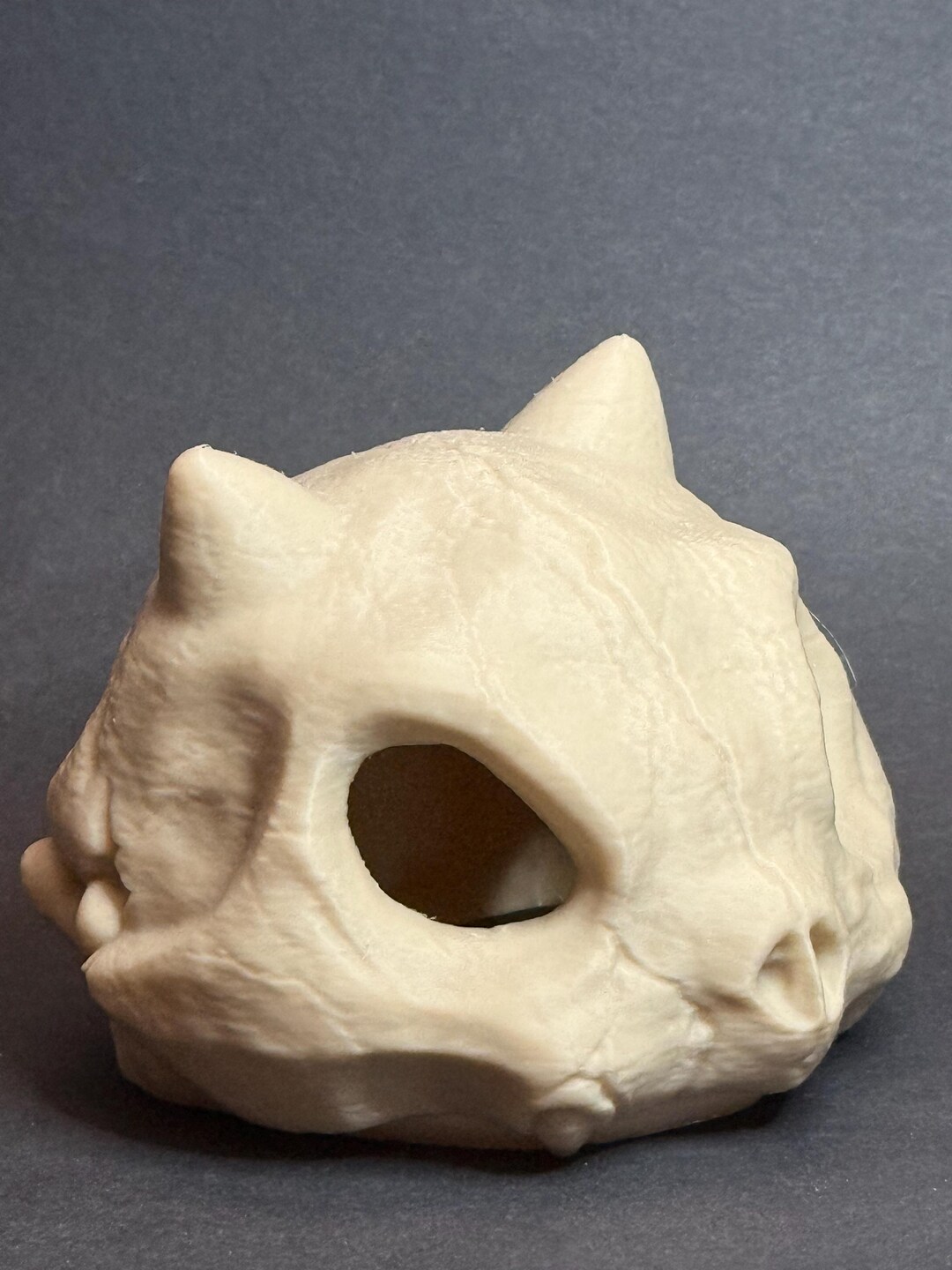 Bulbasaur Handcrafted Skull Lantern Tea Light Included - Etsy