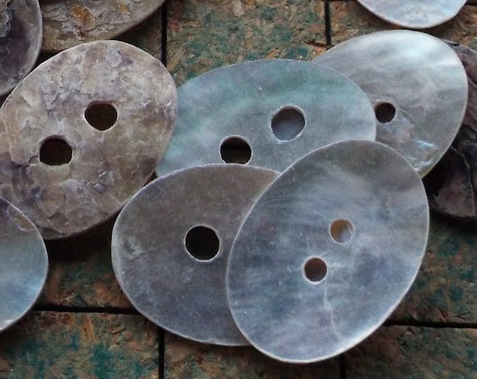 Seashell Buttons, Mother of Pearl, 10 Count, 3/4 Inch, Natural Shell ...
