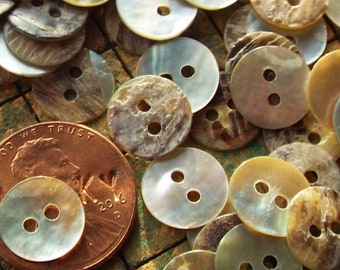 Seashell Buttons, Mother of Pearl, 10 Count, 3/4 Inch, Natural Shell ...