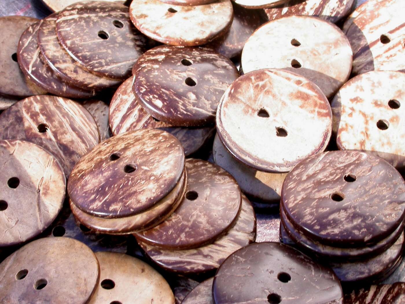 Buttons, Large, Coconut, 1 1/2 Inch Coconut Shell Buttons, 14 of Them ...