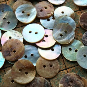 Seashell Buttons, Mother of Pearl, 20 Count, 5/8 Inch, Natural Shell ...