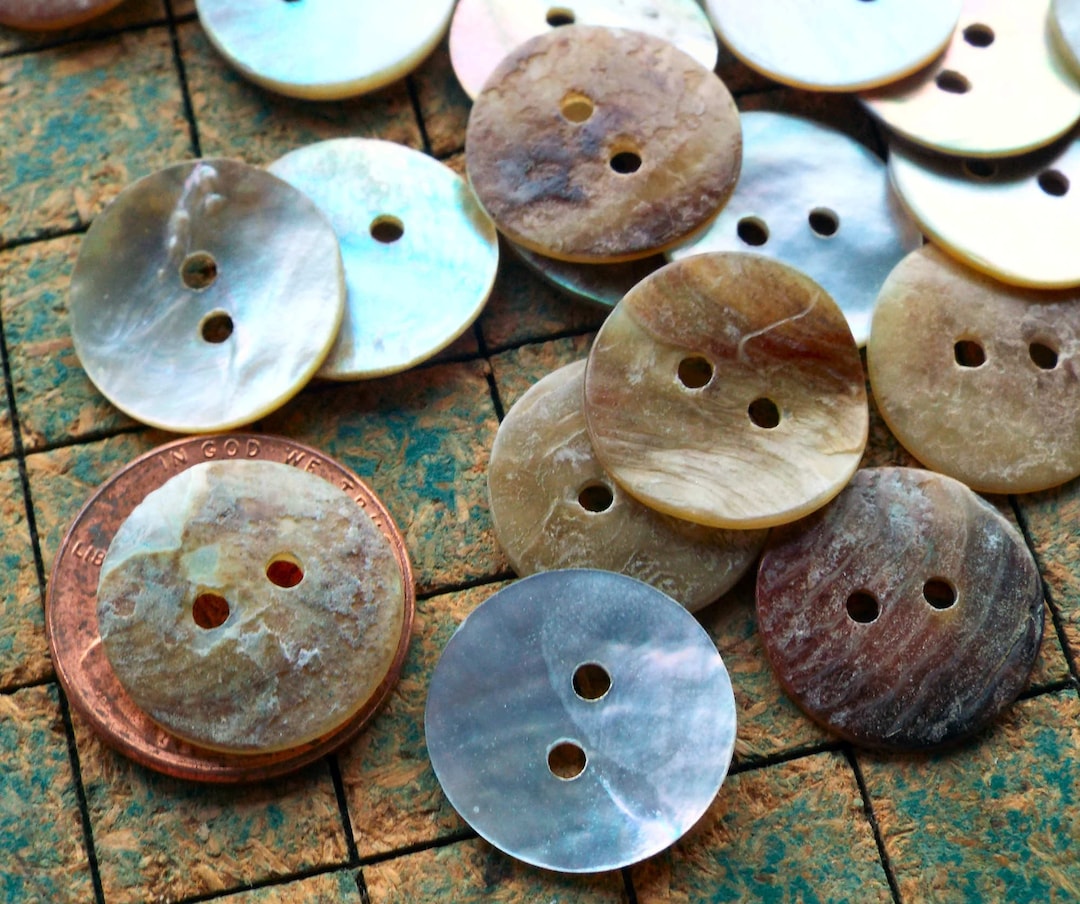 Seashell Buttons, Mother of Pearl, 20 Count, 5/8 Inch, Natural Shell ...