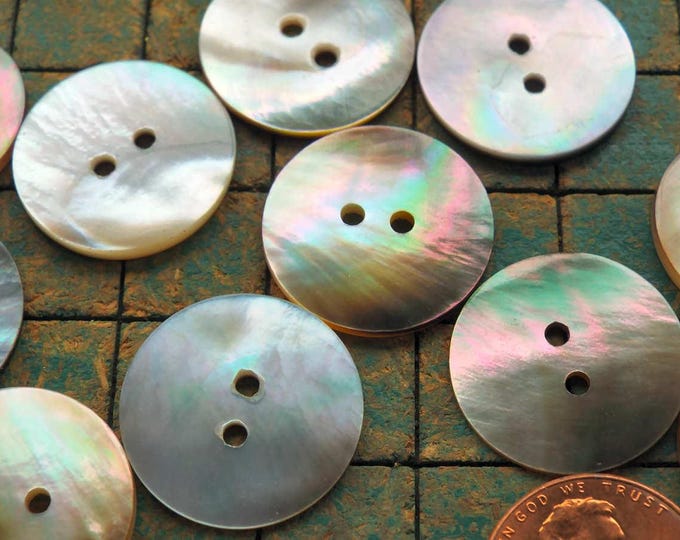 Seashell Buttons, Mother of Pearl, 10 Count, 3/4 Inch, Natural Shell ...