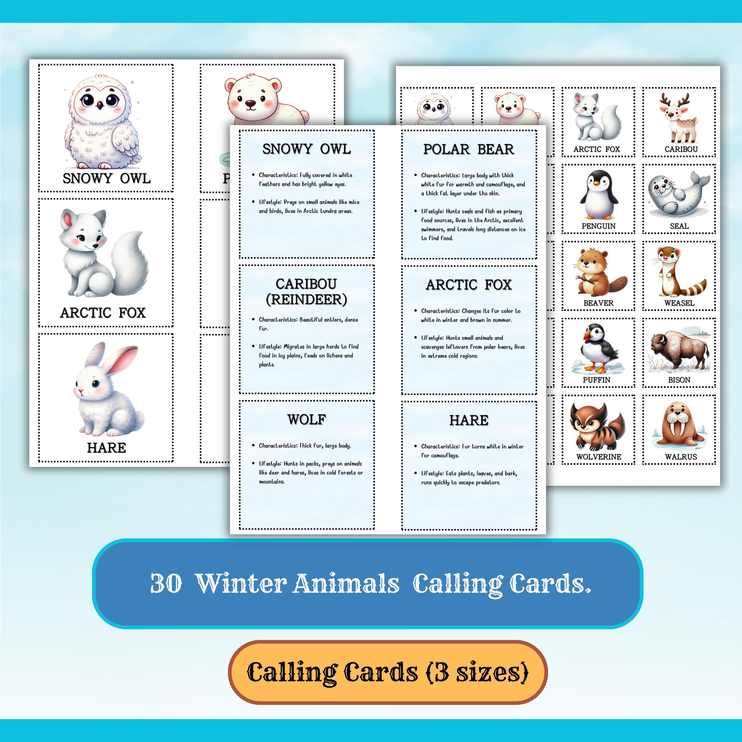 Winter Animals Bingo Cards - A Fun and Educational Game for All Ages ...