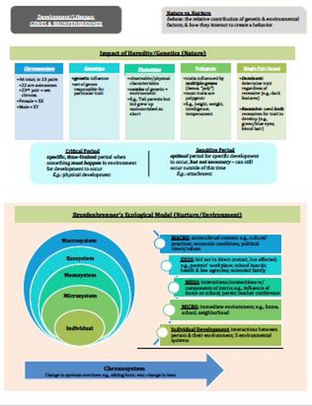 EPPP Visual Study Guide: Lifespan Development - Genes & Bronfenfrenner ...