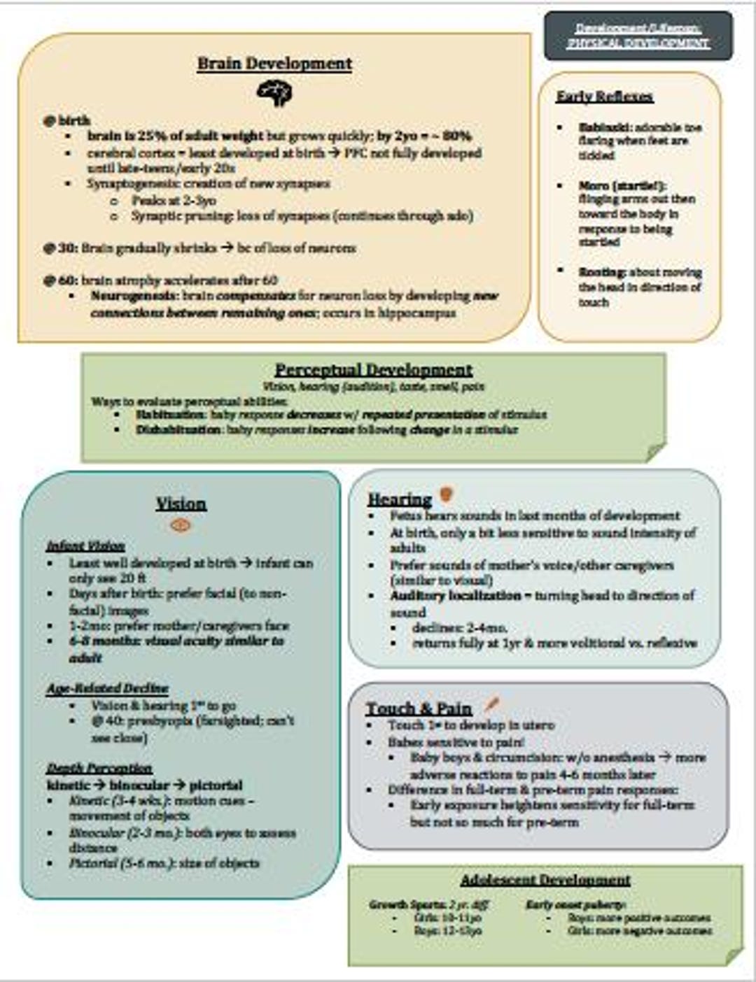 EPPP Visual Study Guide: Lifespan Development - Physical Development - Etsy