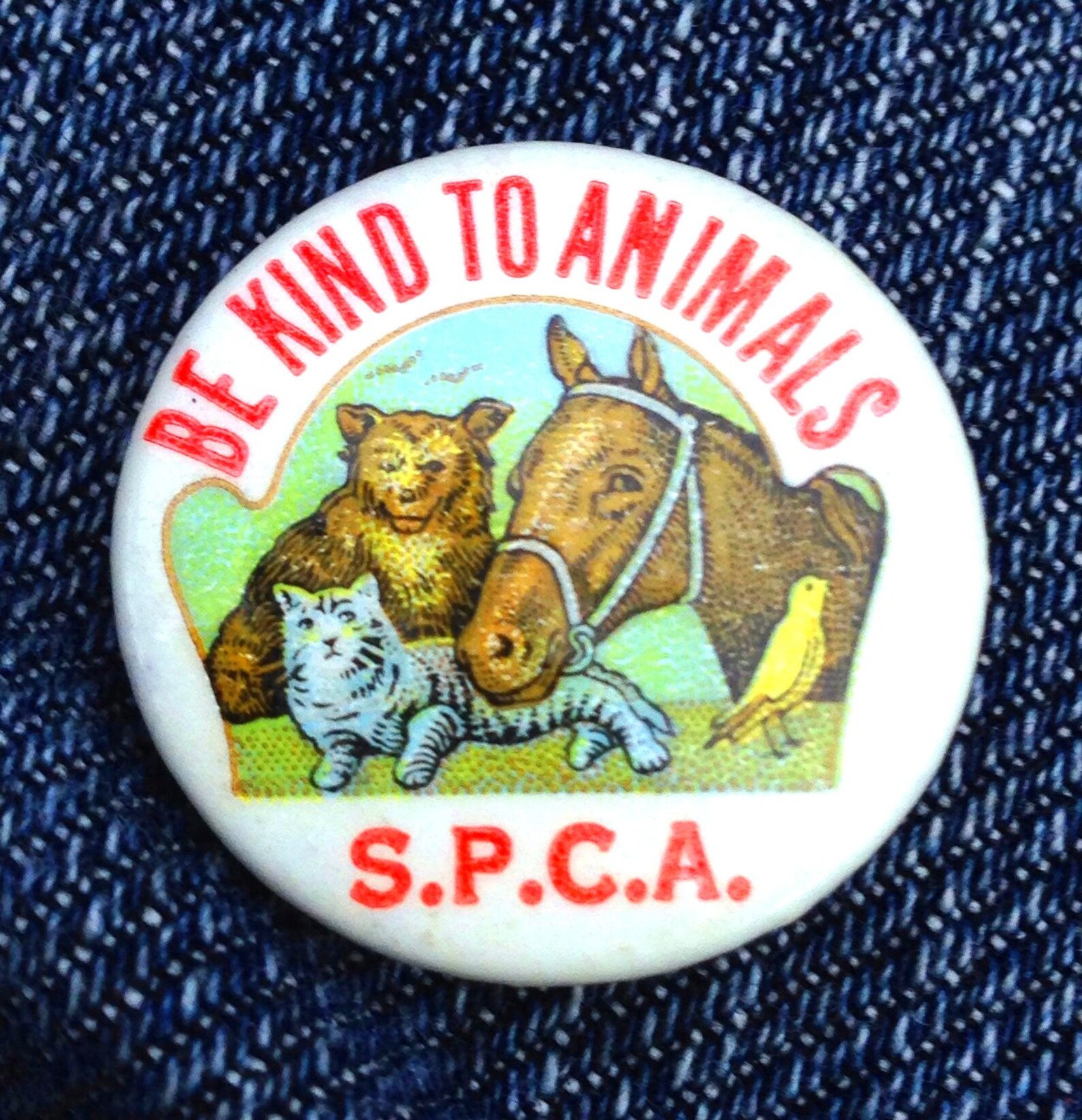 1950's Be Kind to Animals SPCA Pin Back Pledge Badge - Etsy