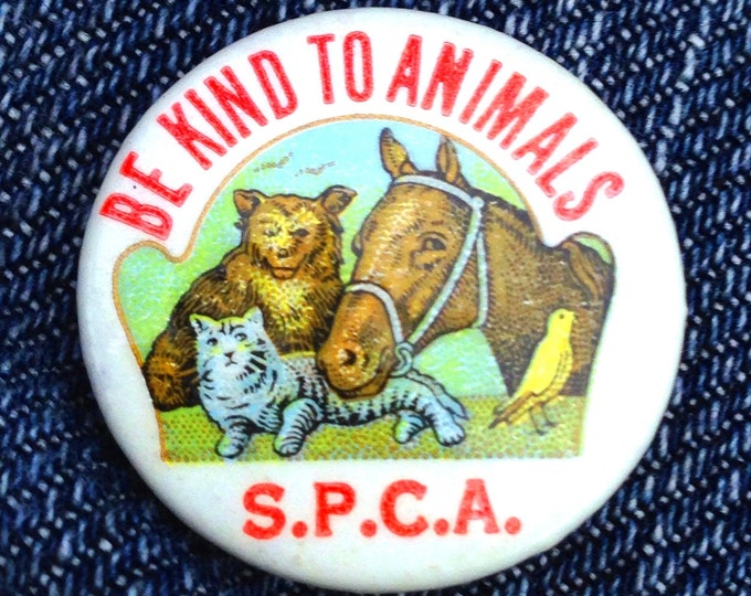 1950's Be Kind to Animals SPCA Pin Back Pledge Badge - Etsy