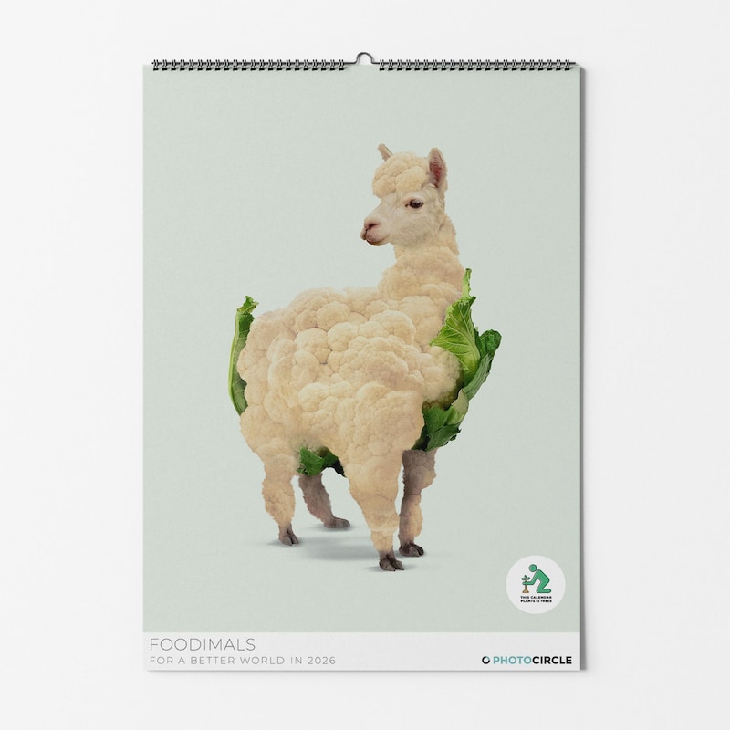 Funny Gifts Random - 60+ Gift Ideas for 2025