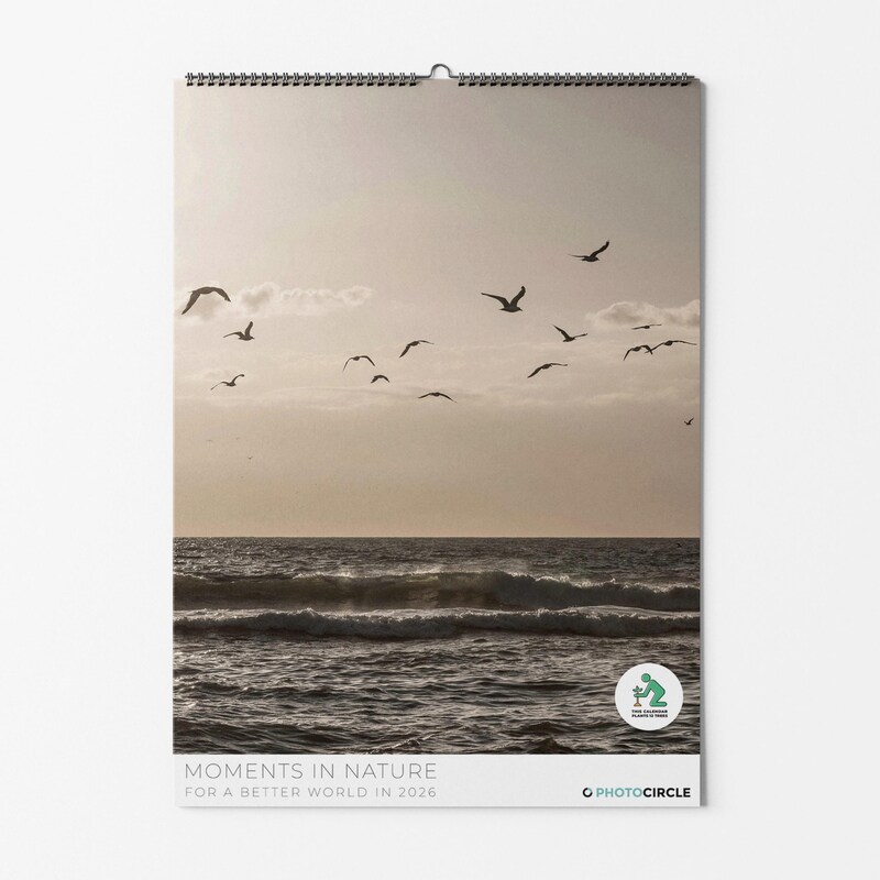Nordic Calendar - Etsy