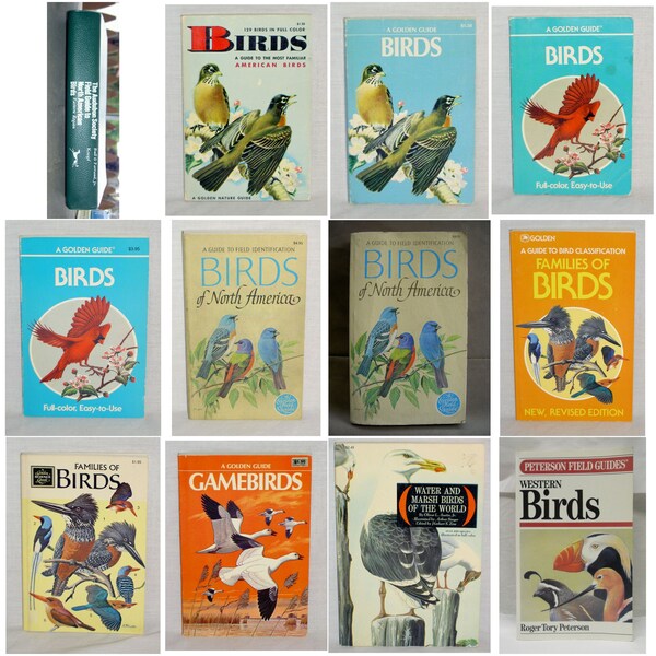 Vintage Bird Book - Etsy