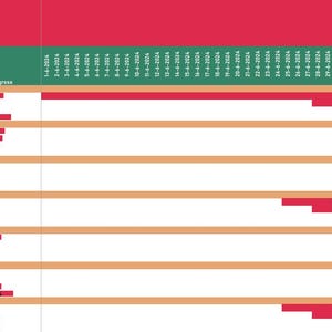 Gantt Chart Excel Template - Etsy