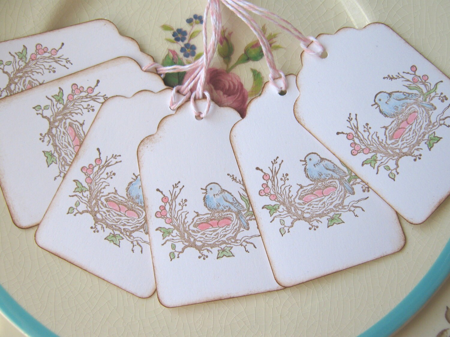 Spring Pink and Blue Bird Nest and Egg Gift Tags - Etsy