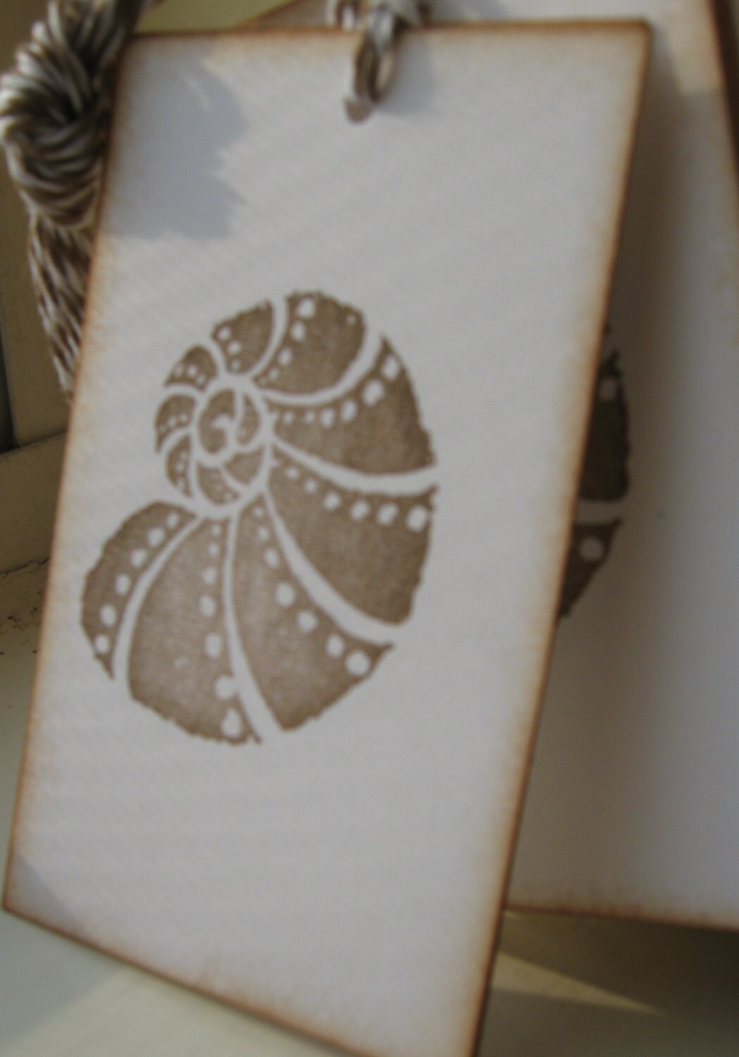 Nautilus, Seashell Gift Tags - Etsy