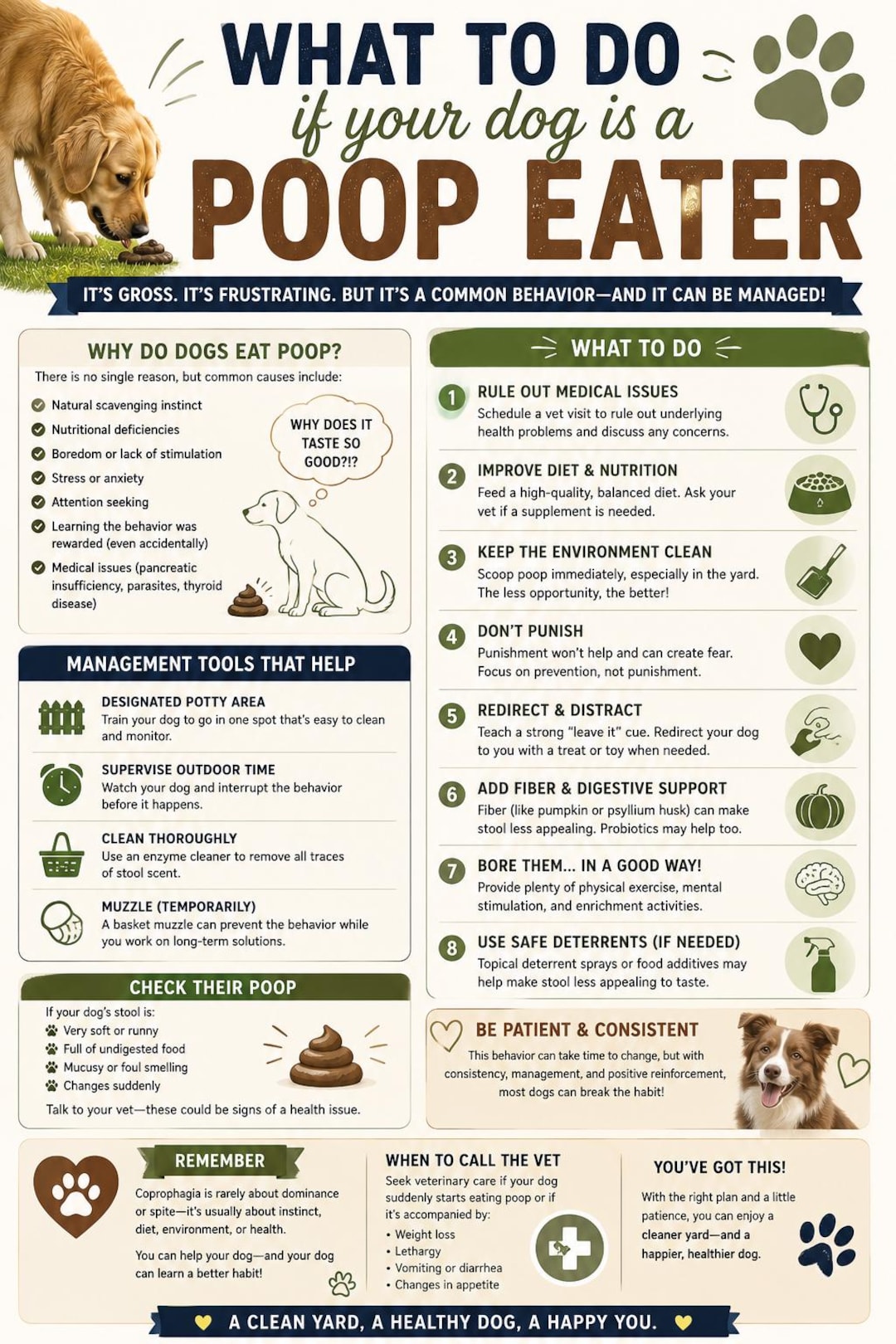 What to Do If Your Dog Eats Poop Printable/ Coprophagia Dog Behavior ...