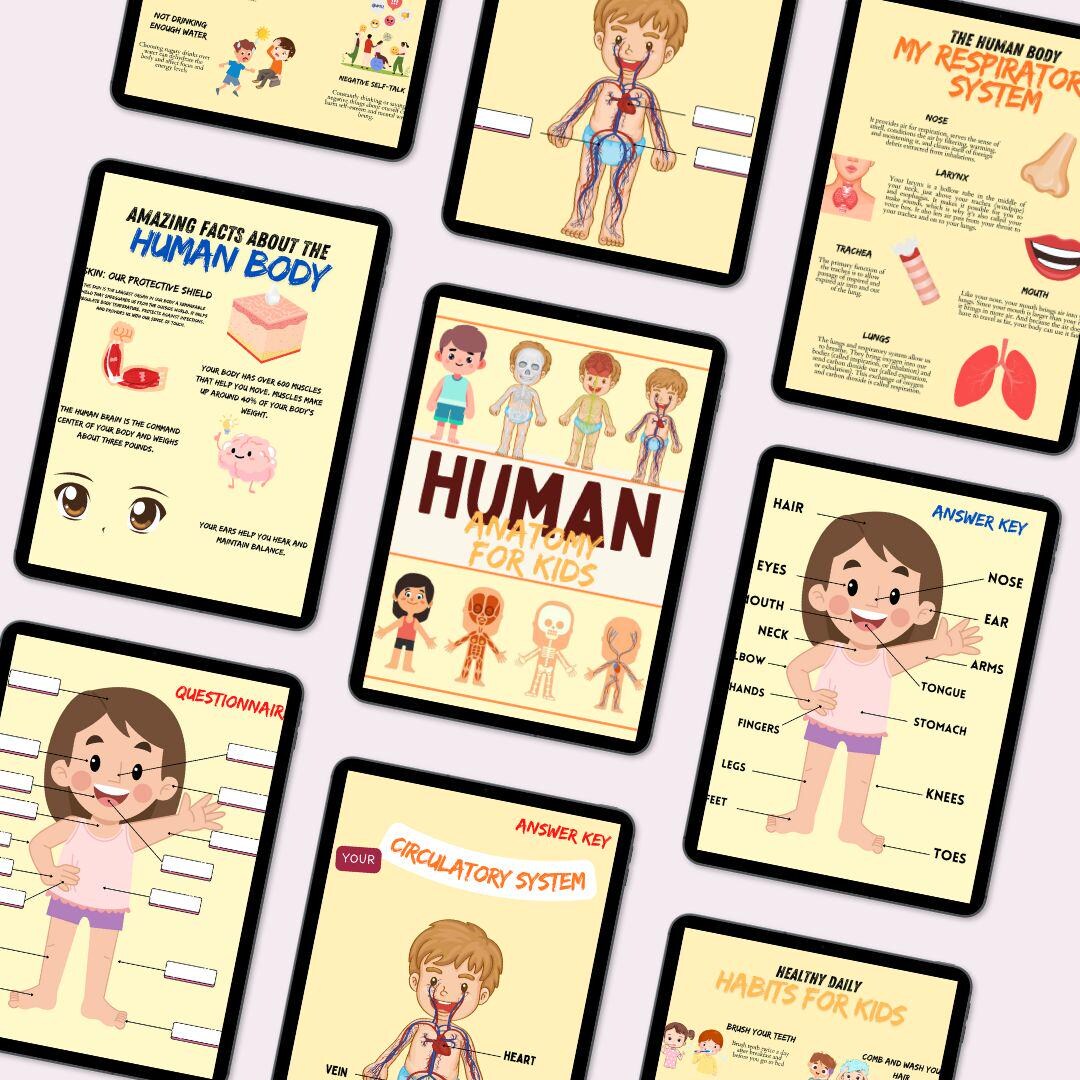 Human Body Anatomy Workbook for Kids (digital Download) - Etsy