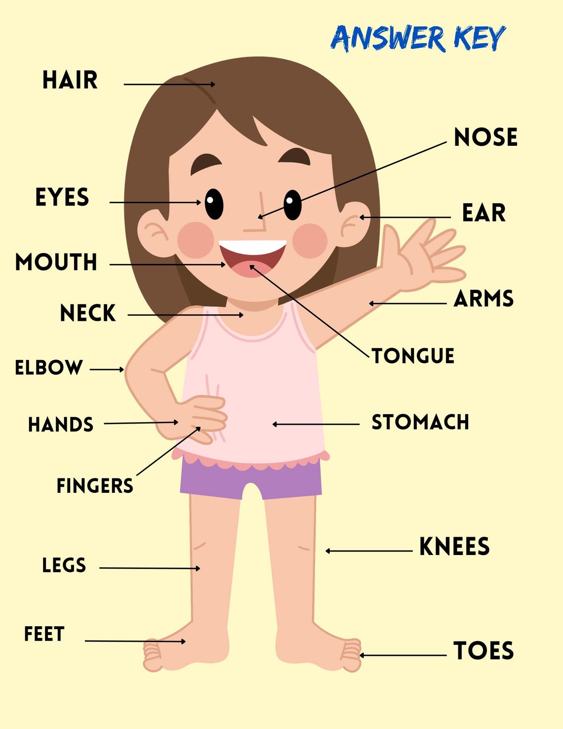 Human Body Anatomy Workbook for Kids (digital Download) - Etsy