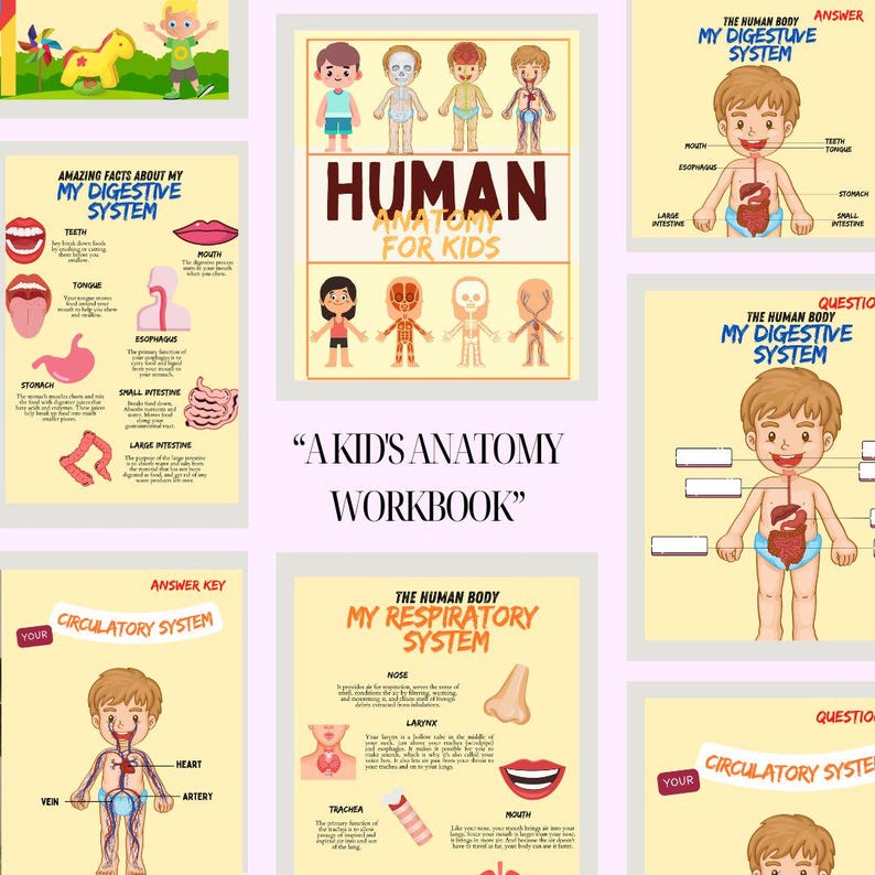Human Body Anatomy Workbook for Kids (digital Download) - Etsy