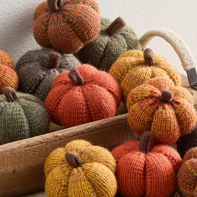 Cozy Knit Pumpkin Set of 12 Spiced Orange Green Gold Autumn Table Décor ...