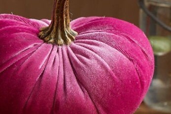 Small Velvet Pumpkin Magenta wedding centerpiece modern barn | Etsy