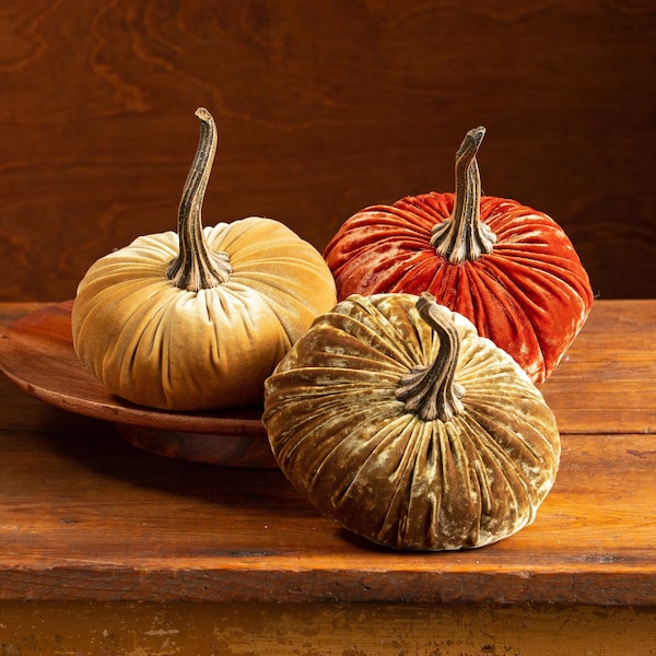 Velvet Pumpkin - Etsy