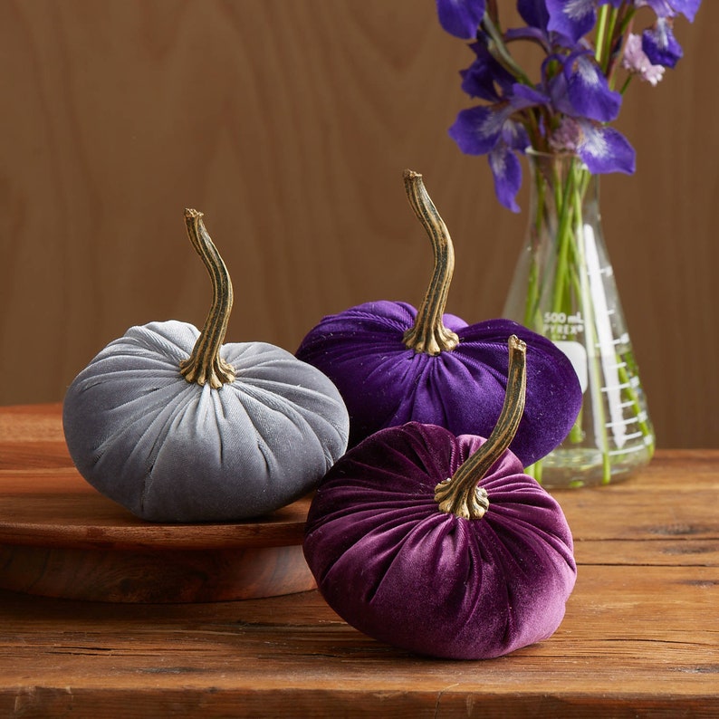 Small Velvet Pumpkins Set of 3 Halloween Decor Fall Wedding - Etsy