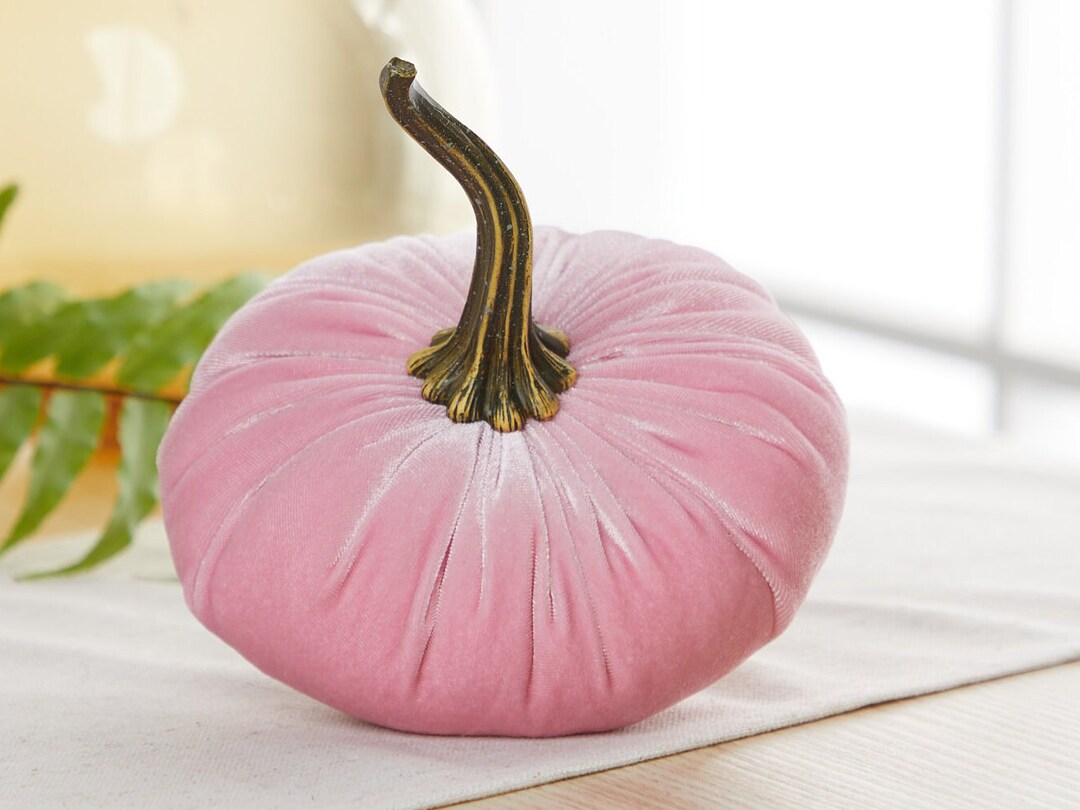 Large Velvet Pumpkin Pink, Rustic Coffee Table Decor, Modern Farmhouse ...