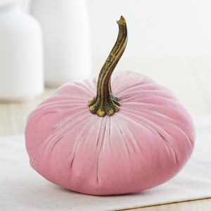 Small Velvet Pumpkin Pink Modern Glam Decor Shabby Chic - Etsy