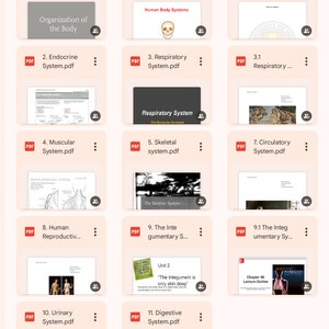 Human Body Systems Powerpoint Presentation: School Project (PDF Files ...