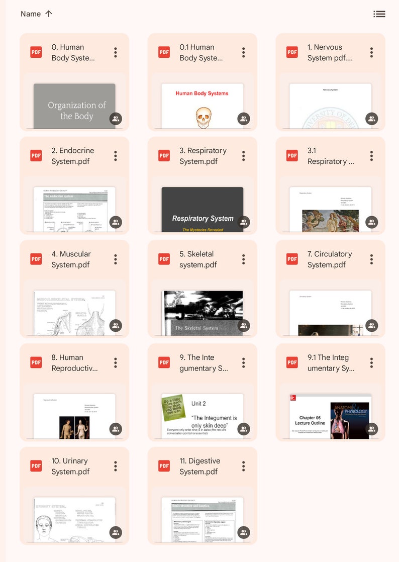 Human Body Systems Powerpoint Presentation: School Project (PDF Files ...