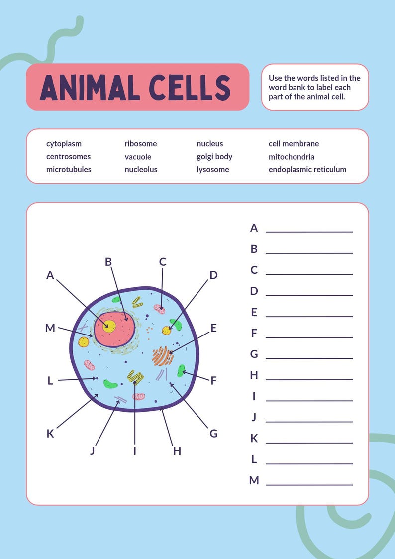The Plant Cell and Animal Cell | Powerpoint Presentation | School ...