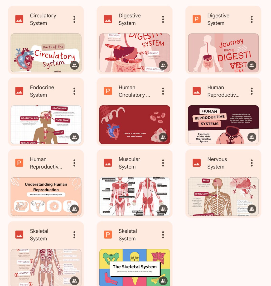 Human Body Systems Powerpoint Presentation: School Project (PDF Files ...