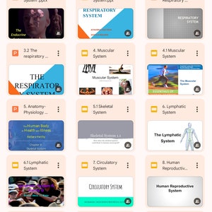 Human Body Systems Powerpoint Presentation: School Project (PDF Files ...