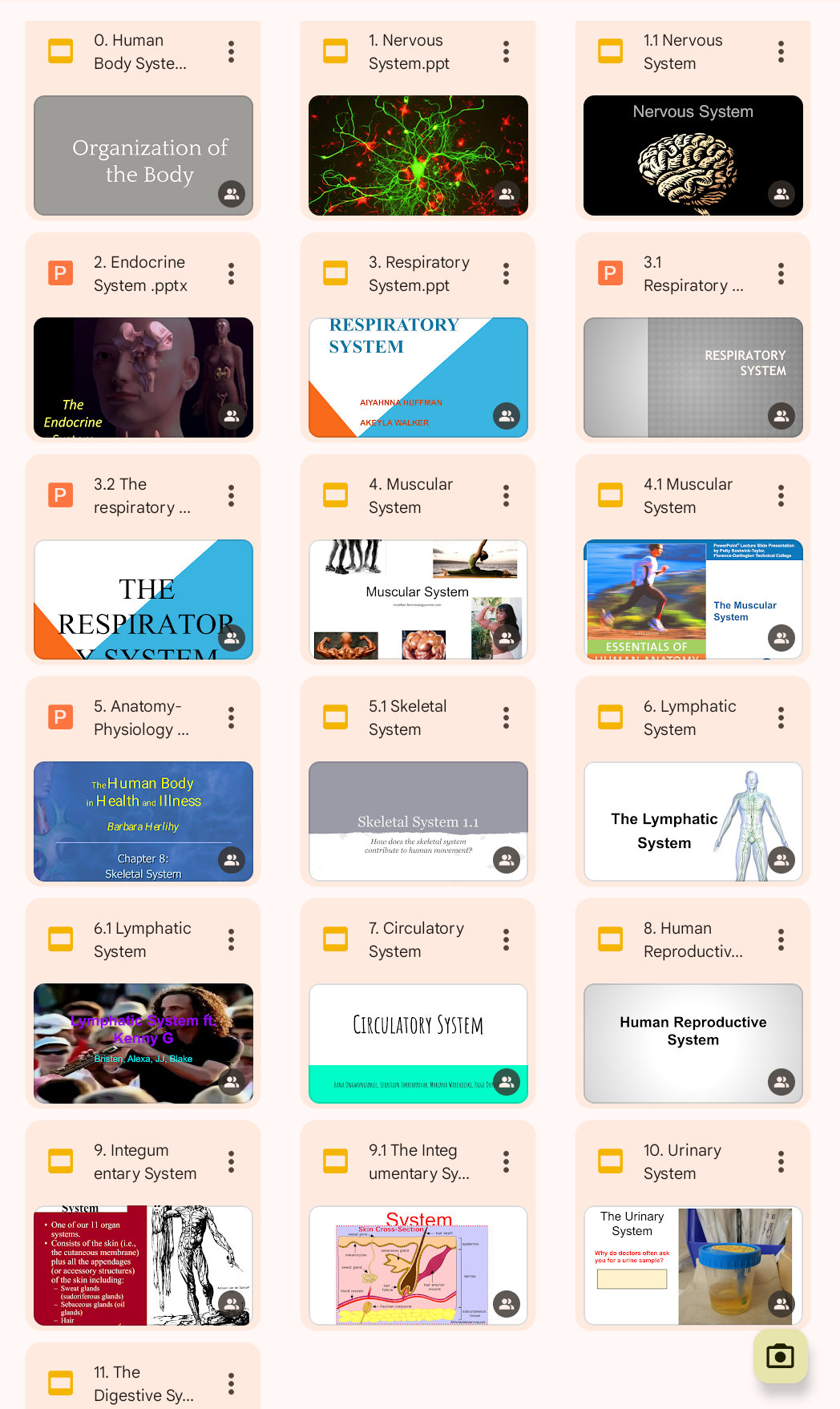 Human Body Systems Powerpoint Presentation: School Project (PDF Files ...