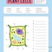 The Plant Cell and Animal Cell | Powerpoint Presentation | School ...