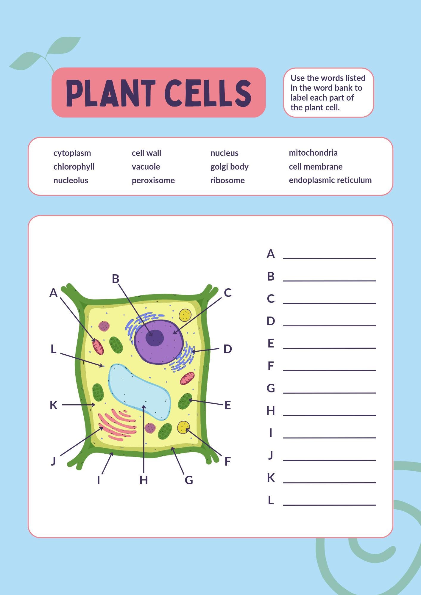 The Plant Cell and Animal Cell | Powerpoint Presentation | School ...