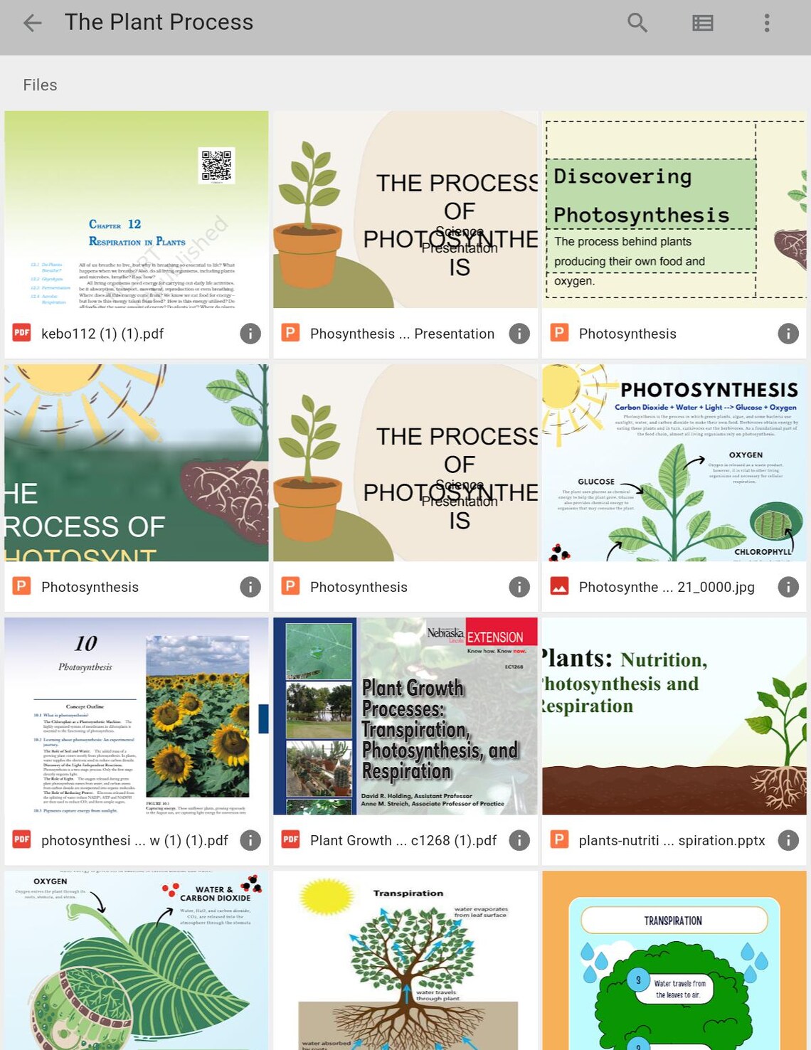 The Plant Process : Photosynthesis, Respiration and Transpiration ...