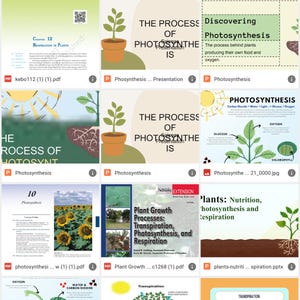 The Plant Process : Photosynthesis, Respiration and Transpiration ...