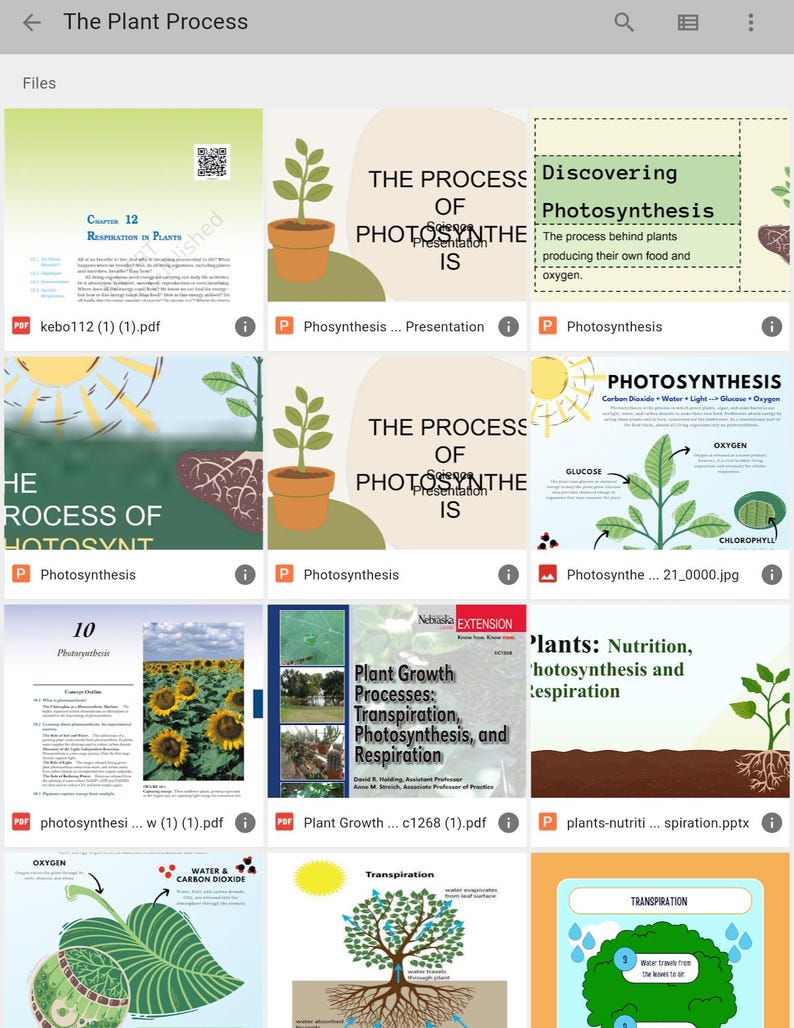 The Plant Process : Photosynthesis, Respiration and Transpiration ...