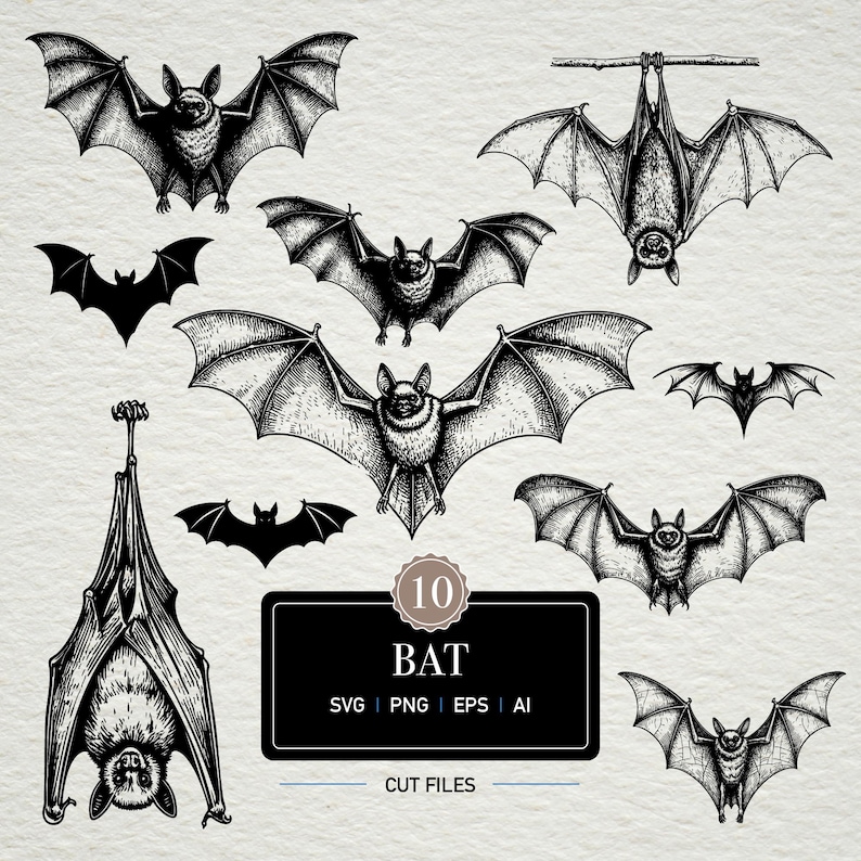 Bat SVG Bundle: Halloween Clipart Cut Files for Cricut & Silhouette ...