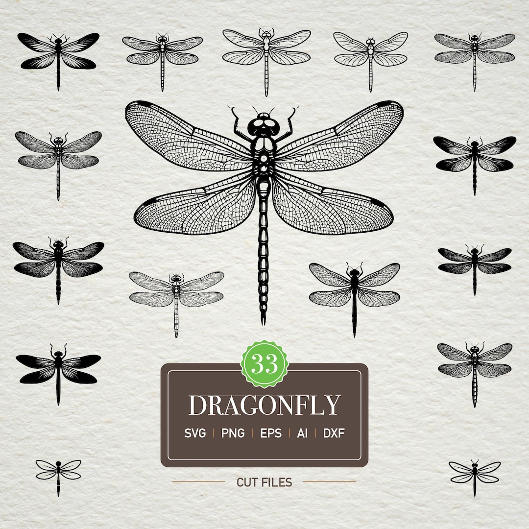 Dragonfly SVG Bundle: Insect Clipart, Cricut Cut Files (digital ...