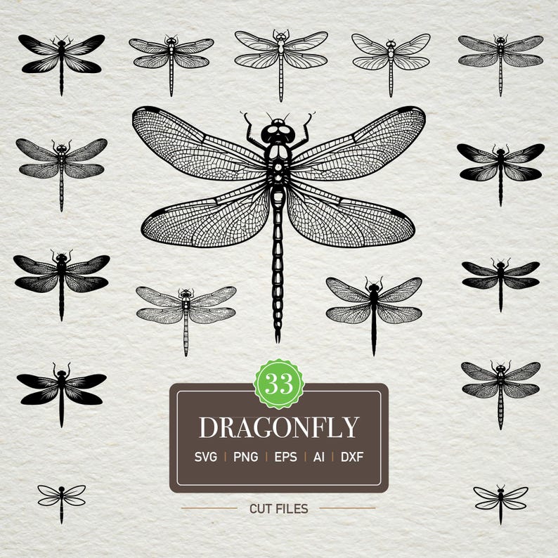Dragonfly SVG Bundle: Insect Clipart, Cricut Cut Files (digital ...