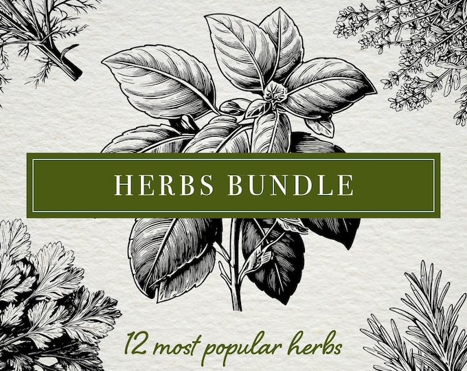 Vintage Kitchen Herbs SVG Bundle: Farmhouse Clipart (digital Download ...