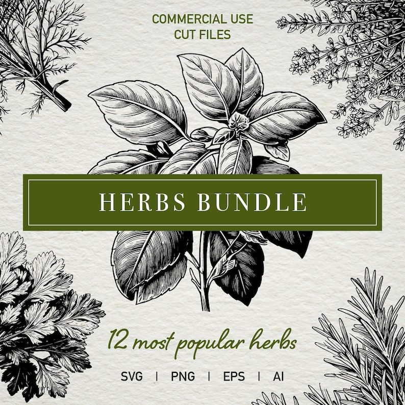 Vintage Kitchen Herbs SVG Bundle: Farmhouse Clipart (digital Download ...