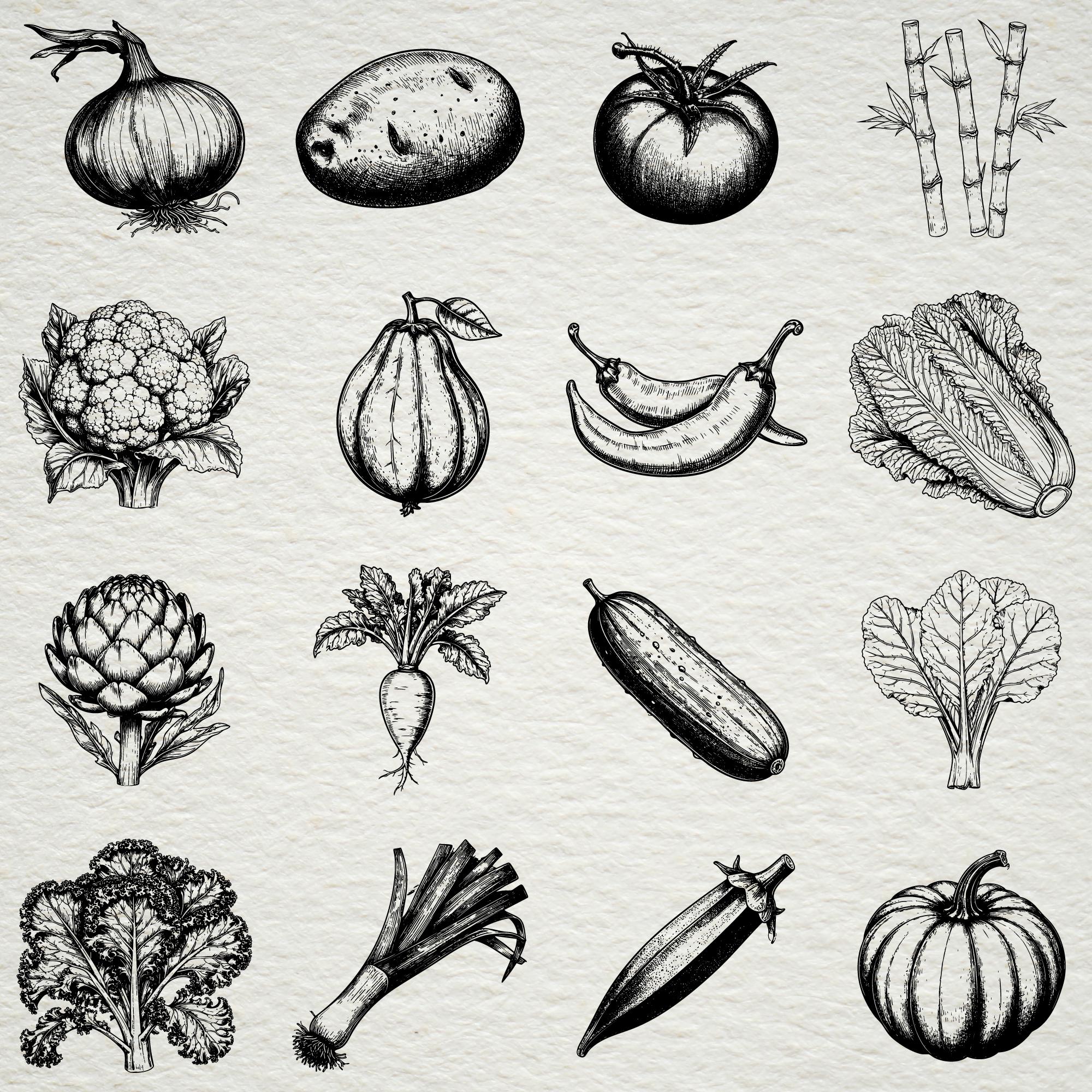 55 Vegetable Illustrations SVG Bundle: Vegan Food Clipart (digital ...