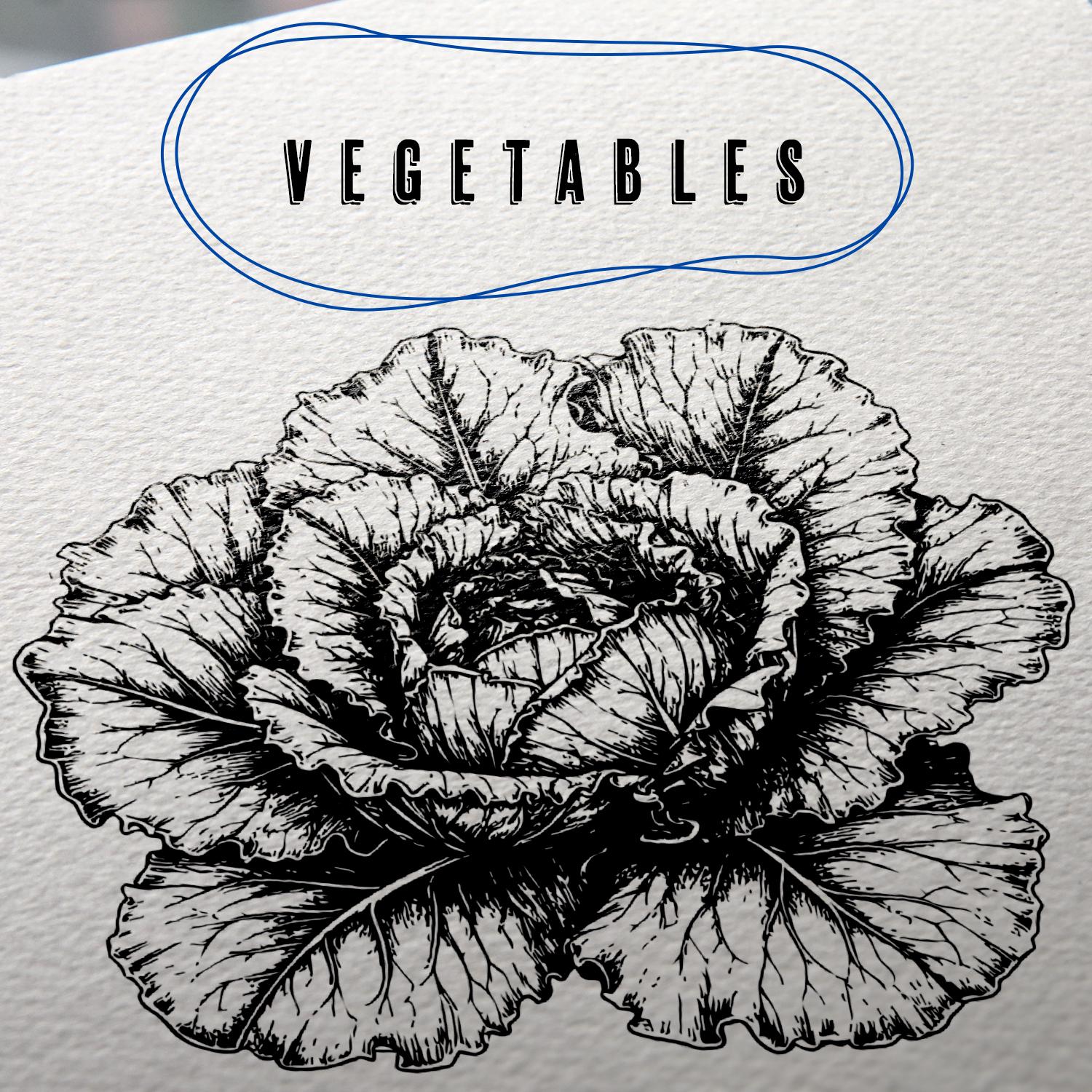 55 Vegetable Illustrations SVG Bundle: Vegan Food Clipart (digital ...